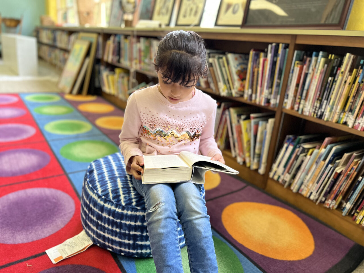 About ICS | Public Charter IB World School Since 2002
